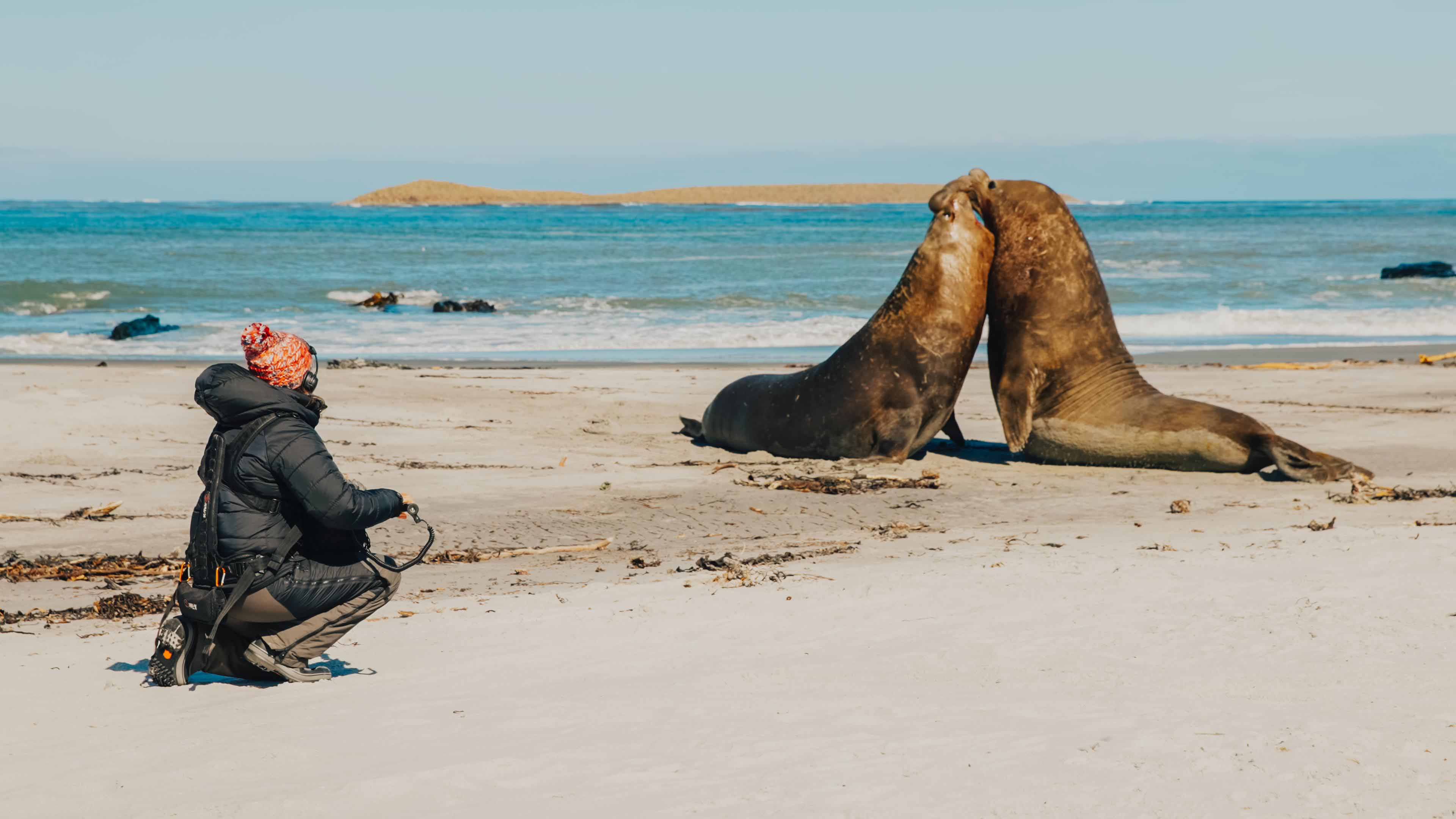 Ellie Williams Answers the Call of the Wild